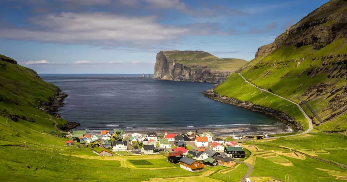 Feral Island: A Hidden Gem for Adventurers
